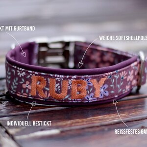 Personalized Dog Collar With Name & Phone Number or Custom Text ...