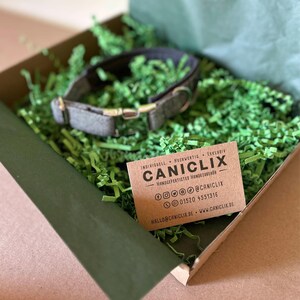 Personalized Dog Collar With Name & Phone Number or Custom Text ...