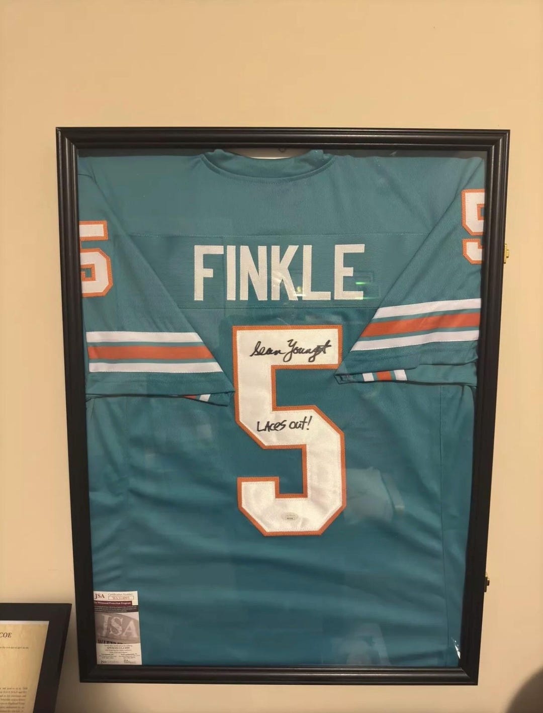 Framed Autographed/signed Sean Young Ray Finkle Miami Teal Jersey PSA ...