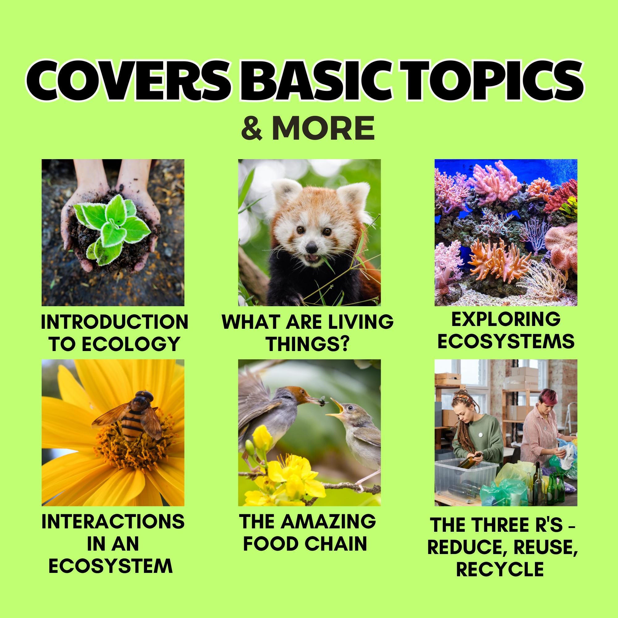 Eco Explorers Science Ebook: Interactive Ecology Activities for Kids ...
