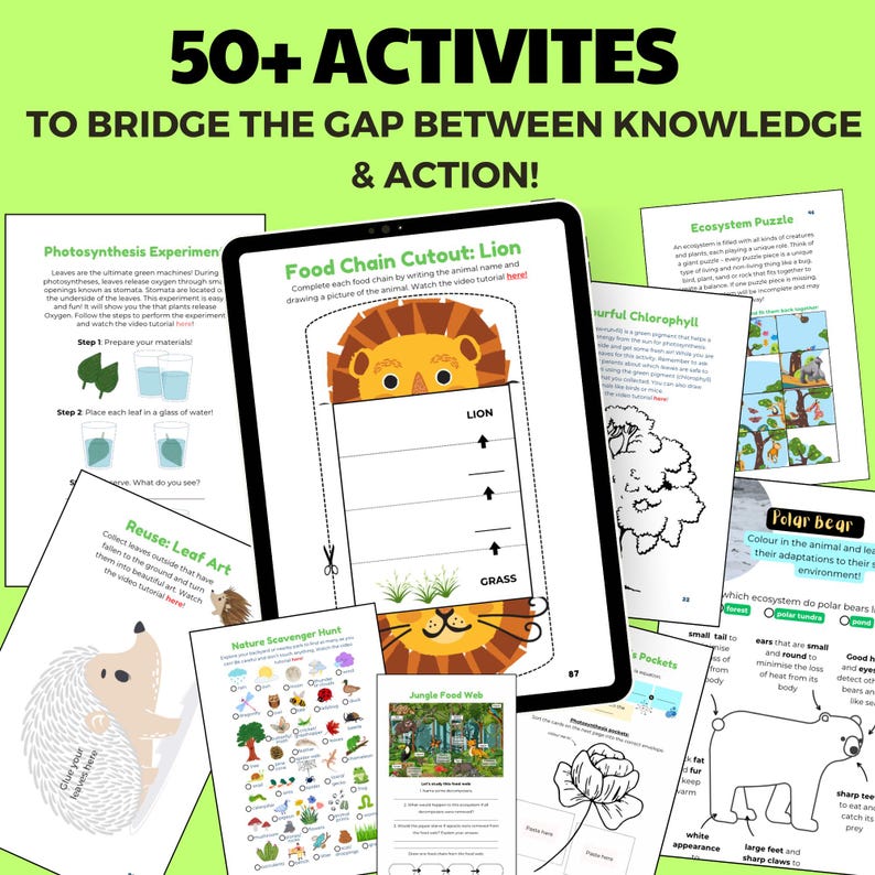 Eco Explorers Science Ebook: Interactive Ecology Activities for Kids ...
