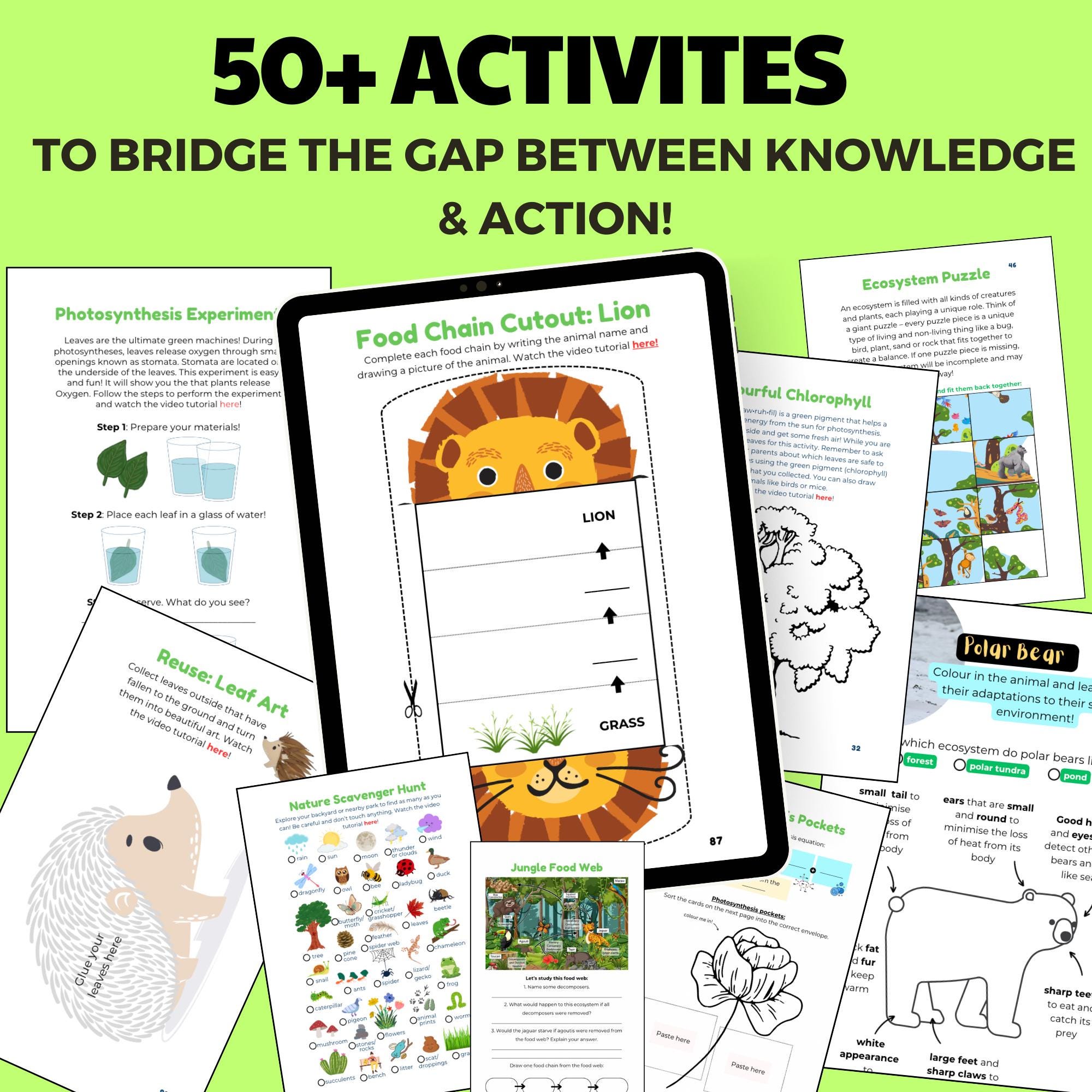 Eco Explorers Science Ebook: Interactive Ecology Activities for Kids ...