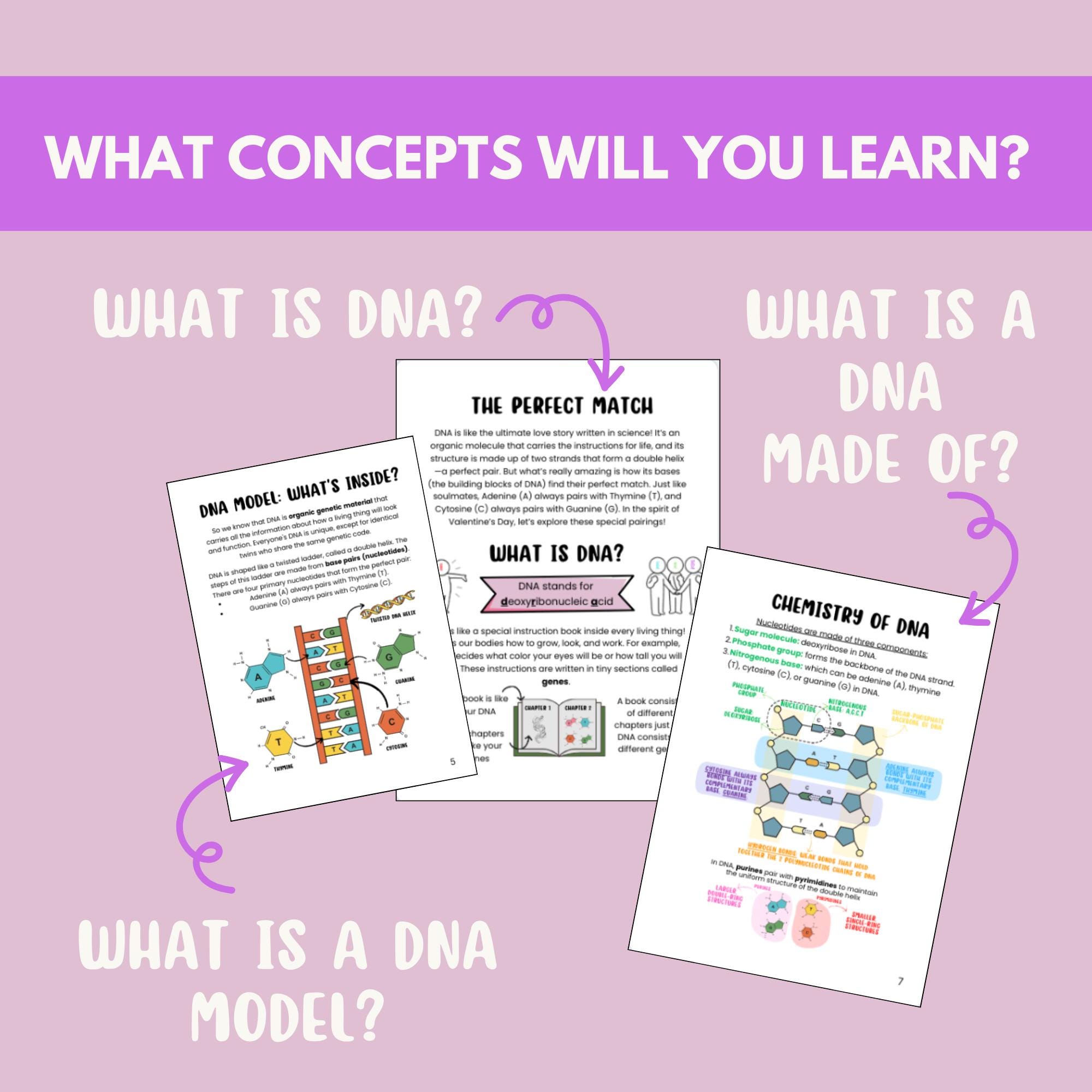 Valentine's Day DNA Science Activity: STEM Printable for Kids (PDF) - Etsy