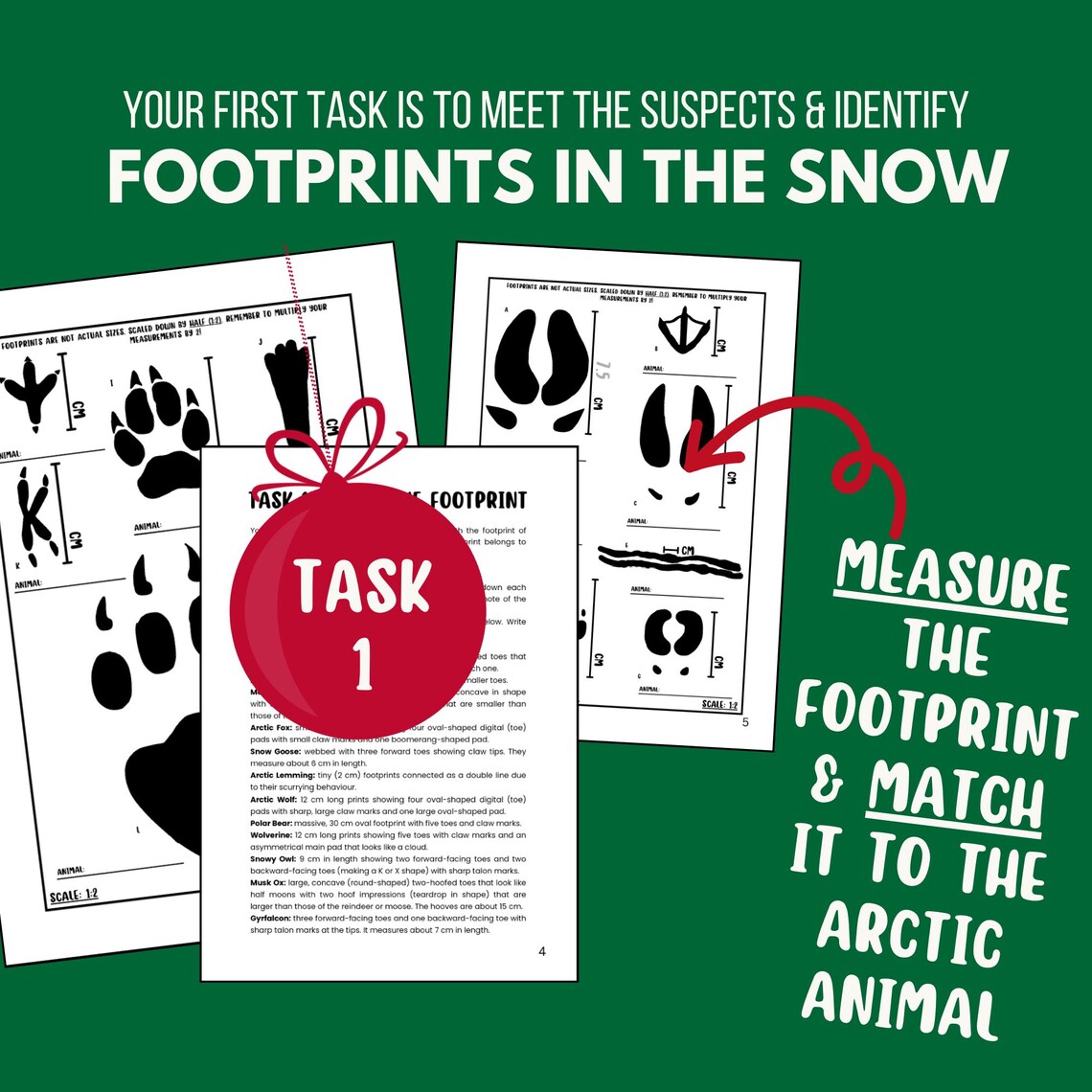 Missing Reindeer Mystery | Santa’s Mystery | Educational Christmas ...