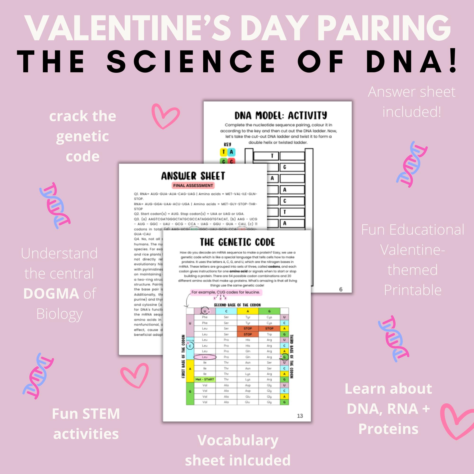 Valentine's Day DNA Science Activity: STEM Printable for Kids (PDF) - Etsy