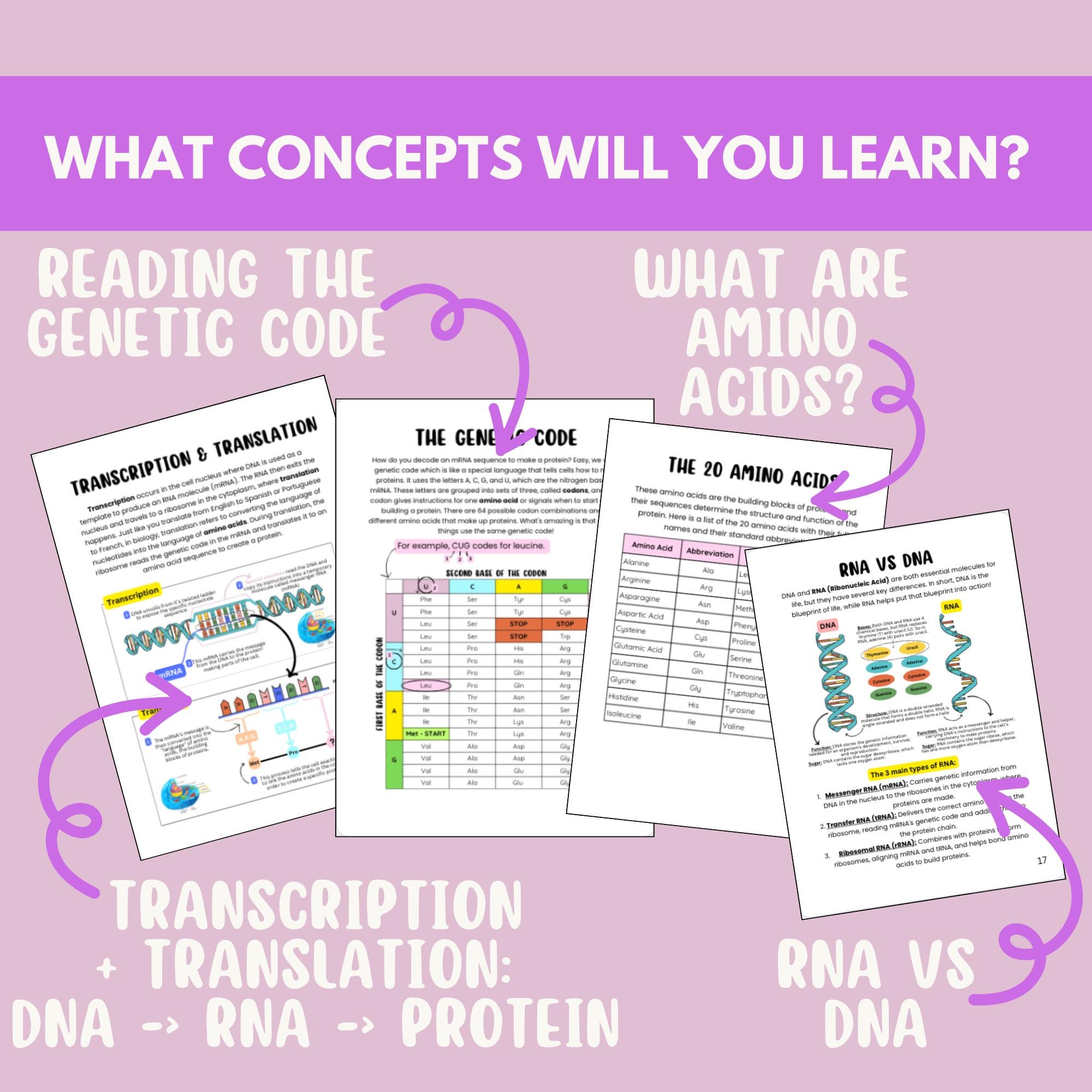 Valentine's Day DNA Science Activity: STEM Printable for Kids (PDF) - Etsy
