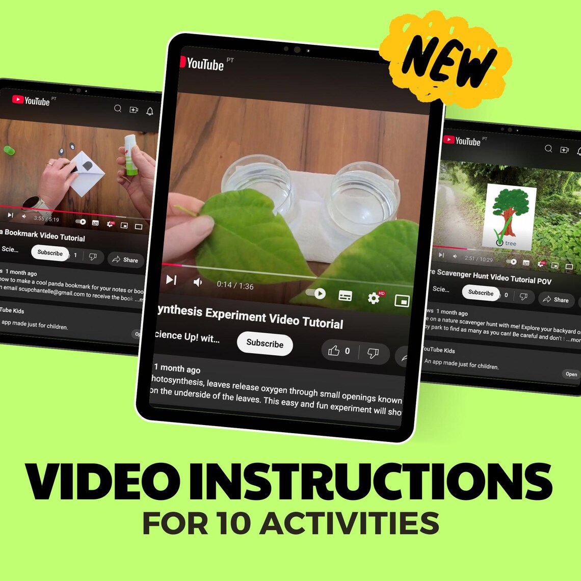 Explore the Wonders of Ecology With This Interactive Science Book Kit ...