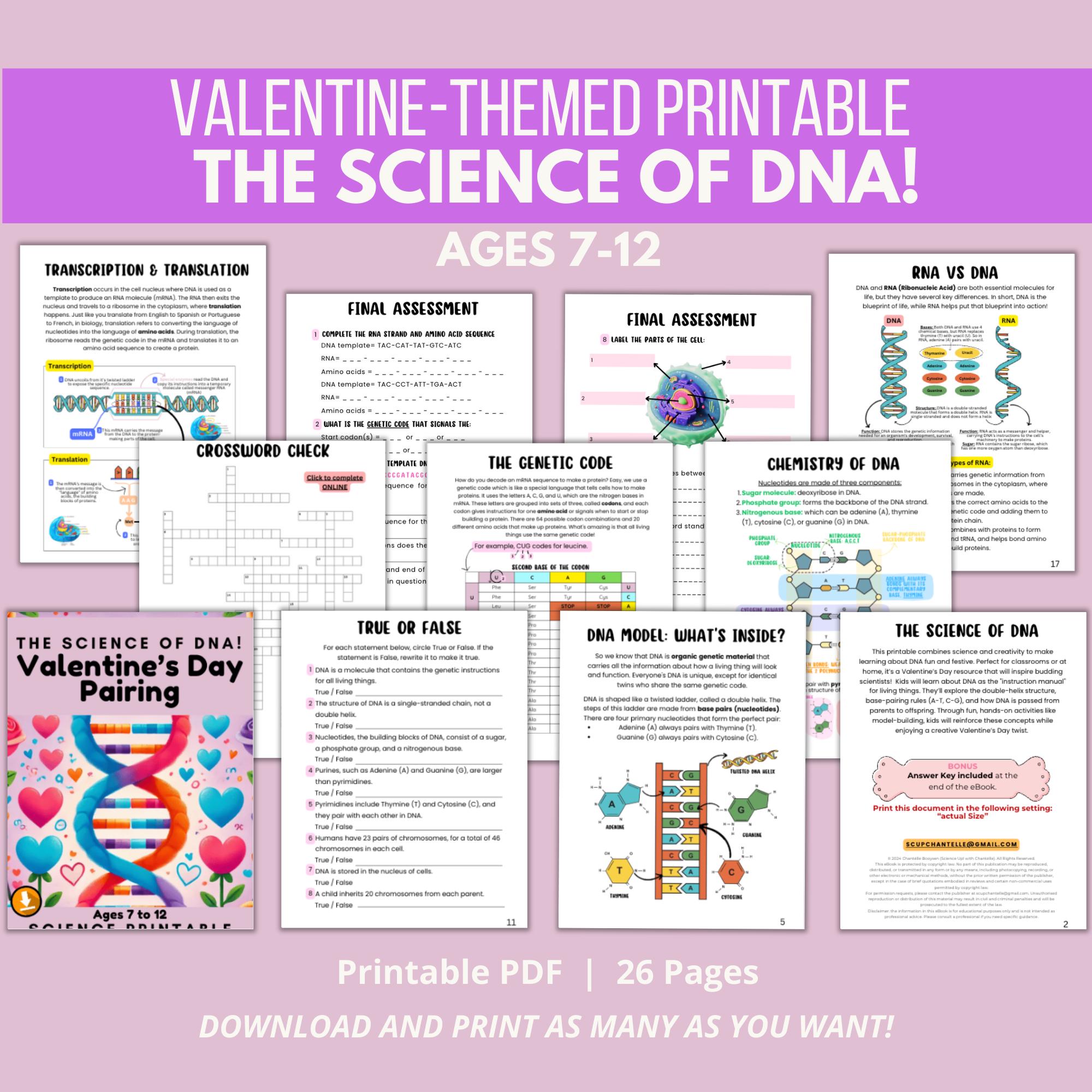 Valentine's Day DNA Science Activity: STEM Printable for Kids (PDF) - Etsy