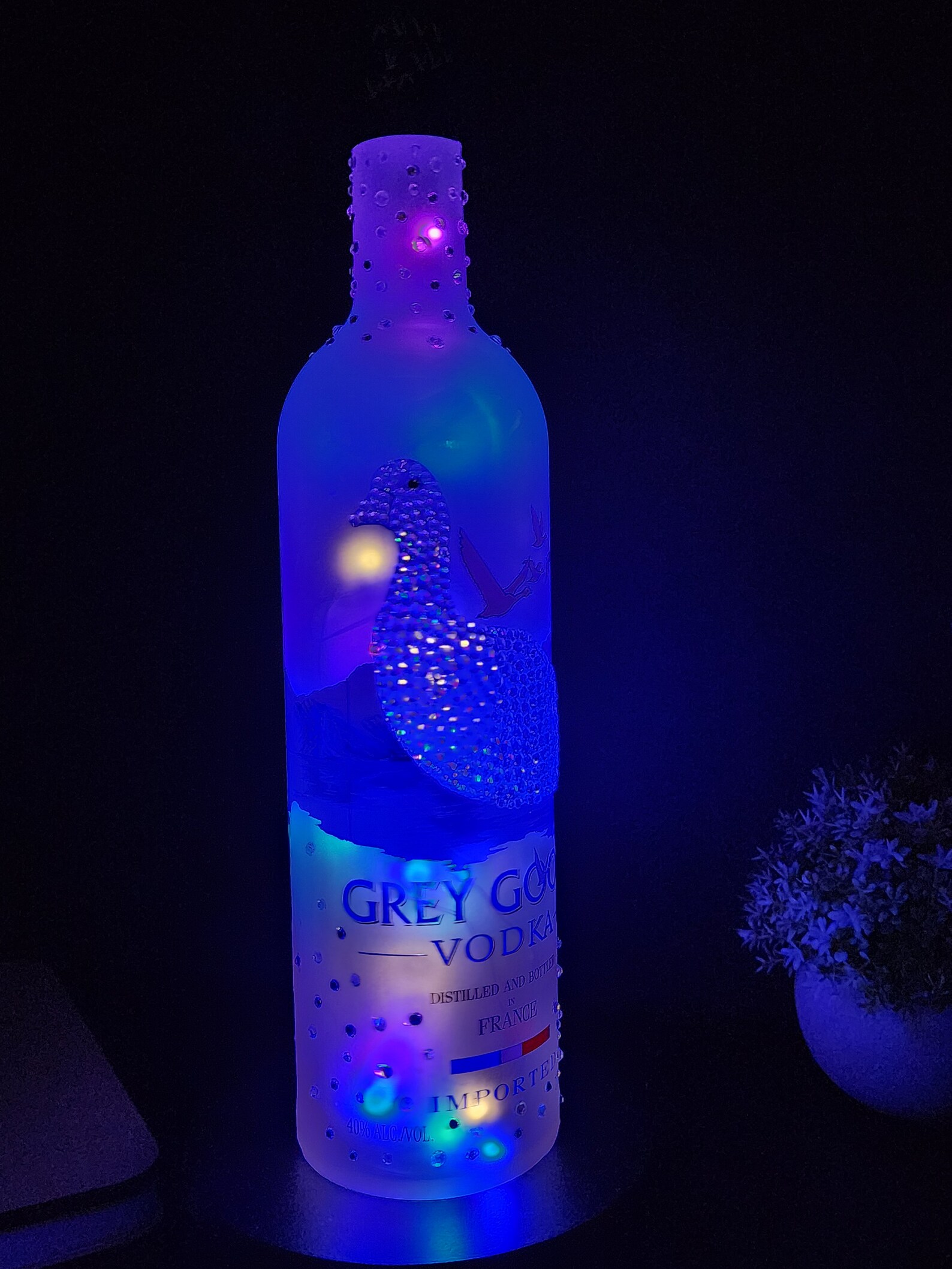 Grey Goose Vodka LED Liquor Bottle Light - Etsy