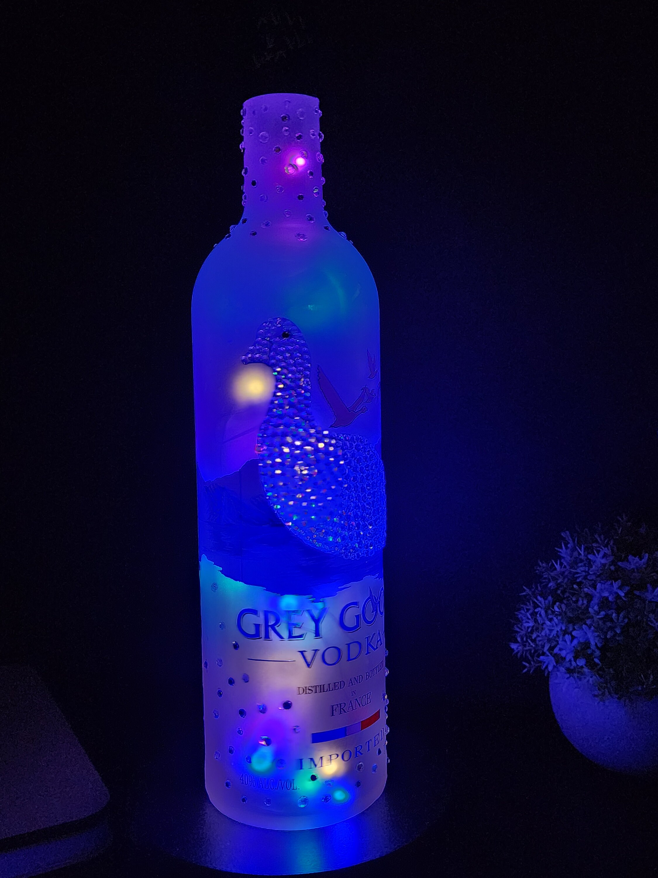 Grey Goose Vodka LED Liquor Bottle Light - Etsy