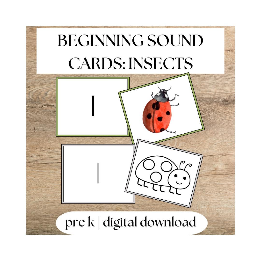 Beginning Sound Cards | Montessori | Phonetics | Preschool Activities ...
