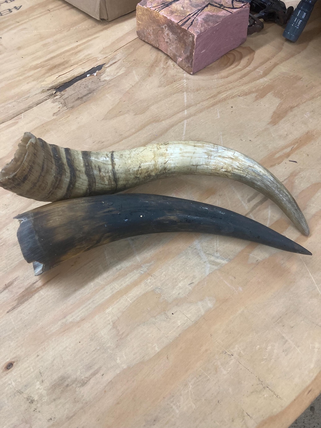Horns Steer Horns Raw Natural. Crafting Black Powder Horn, Horn Cup ...