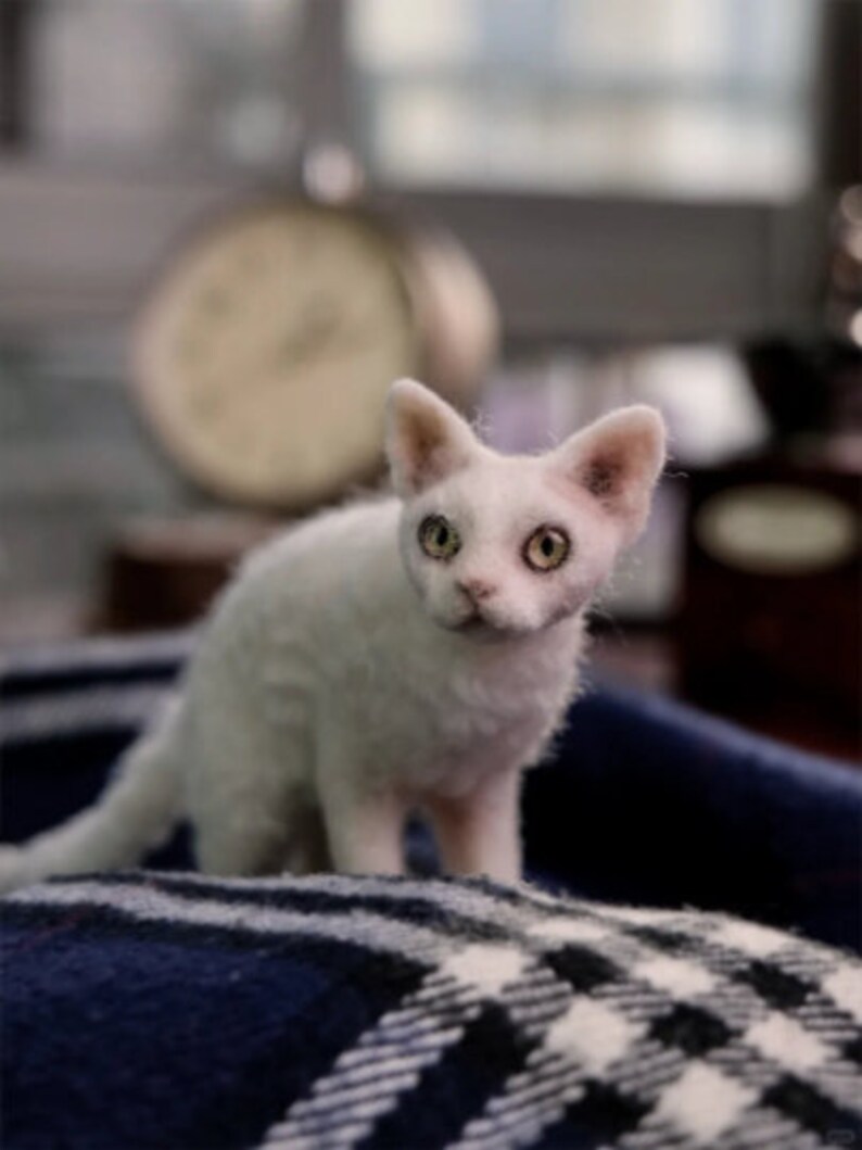 Custom Needle Felted Devon Rex Portrait Figurine,custom Felt Animals ...