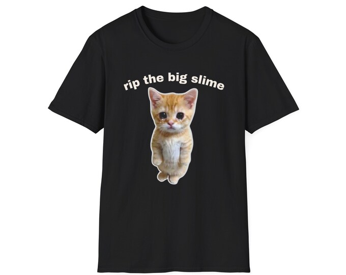 RIP the BIG SLIME Crying Cat Meme Cat Meme Internet Cats Unisex Tee ...
