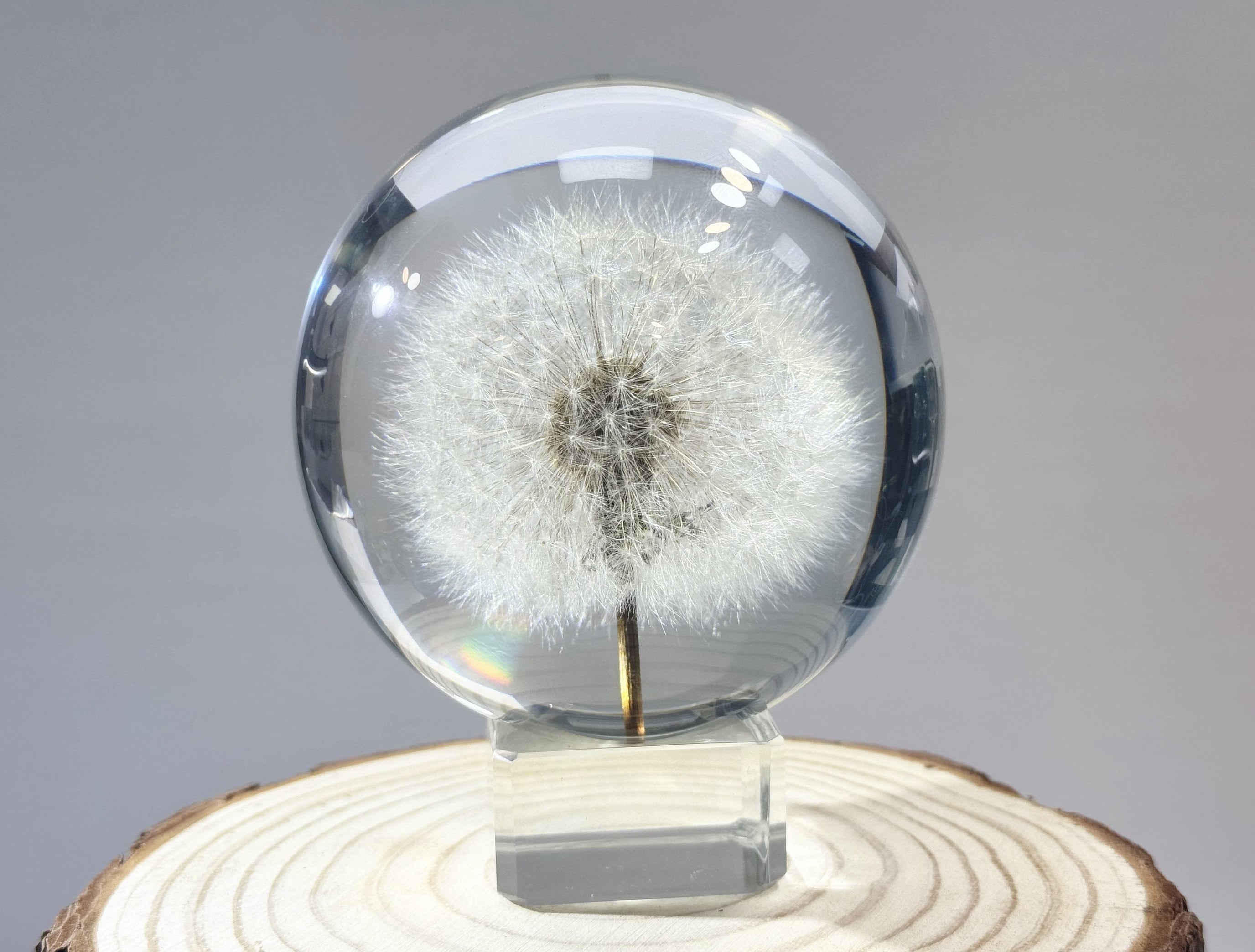 Dandelion Crystal Ball,dandelion Resin Paperweight,dandelion Sphere ...
