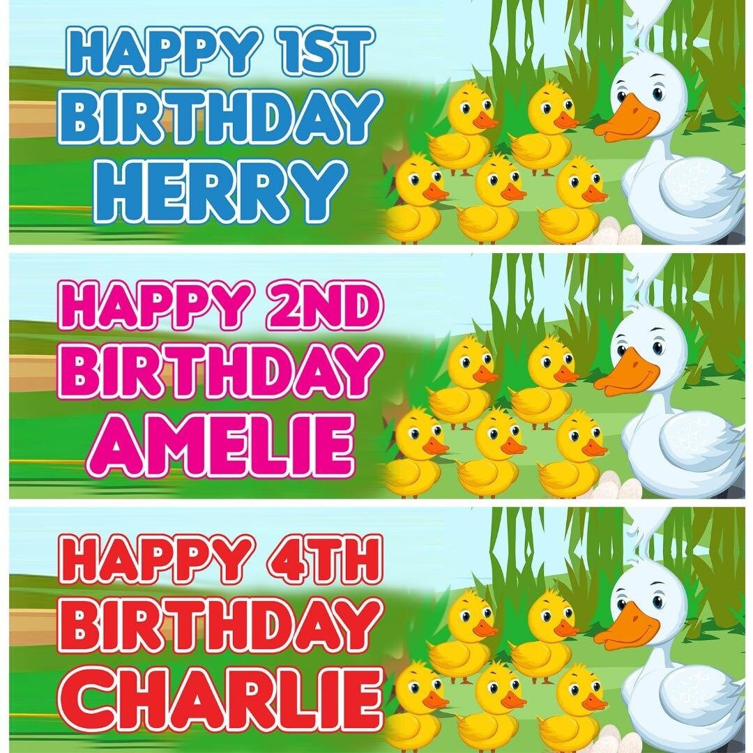 2 Personalised Five Little Ducks Birthday Celebration Banners ...