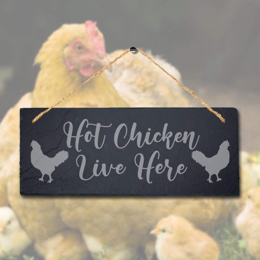 Chicken Coop Plaque Hot Chicken Live Here Laser Engraved on Hanging ...