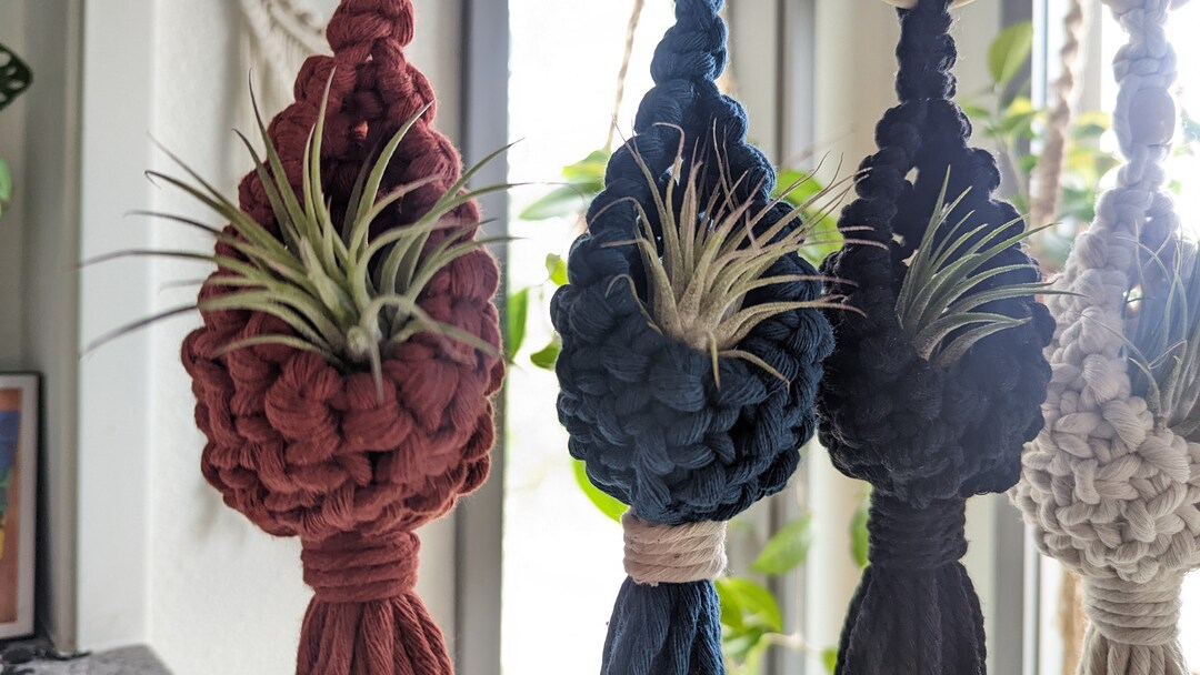 Air Plant Pod Hanger | Air Plant Hanger | Tiny Plant Hanger | Pod Plant ...