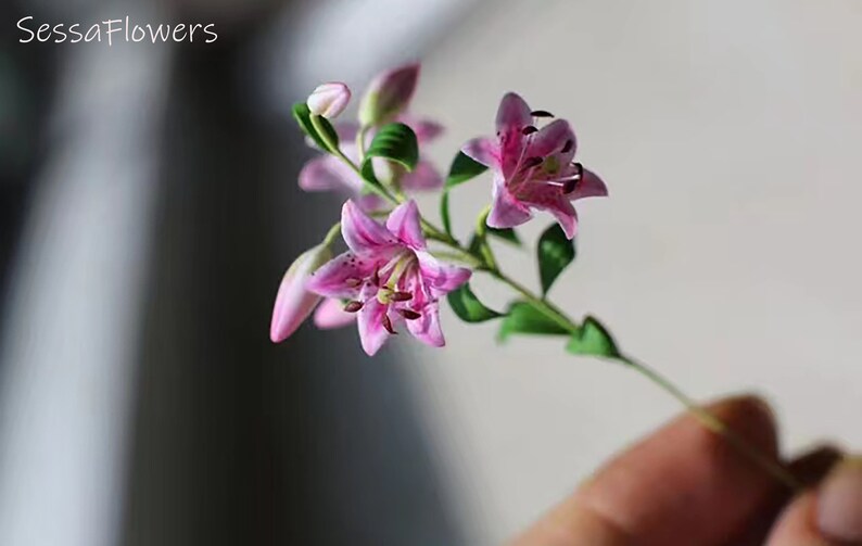 Miniature Lilieshandmade Lilies, , Miniature Plants, Miniature Flowers ...