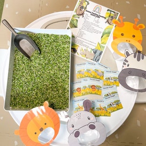Feed the Safari Animals Sensory Bin - Etsy