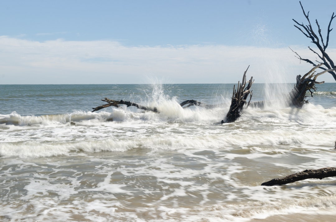 High Tide, Botany Bay - Etsy