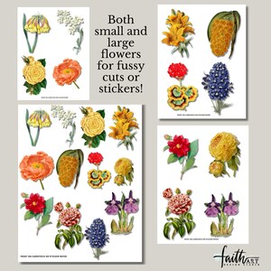 Gracious Green Vintage Ephemera 176 Pieces for Junk & Art Journaling ...