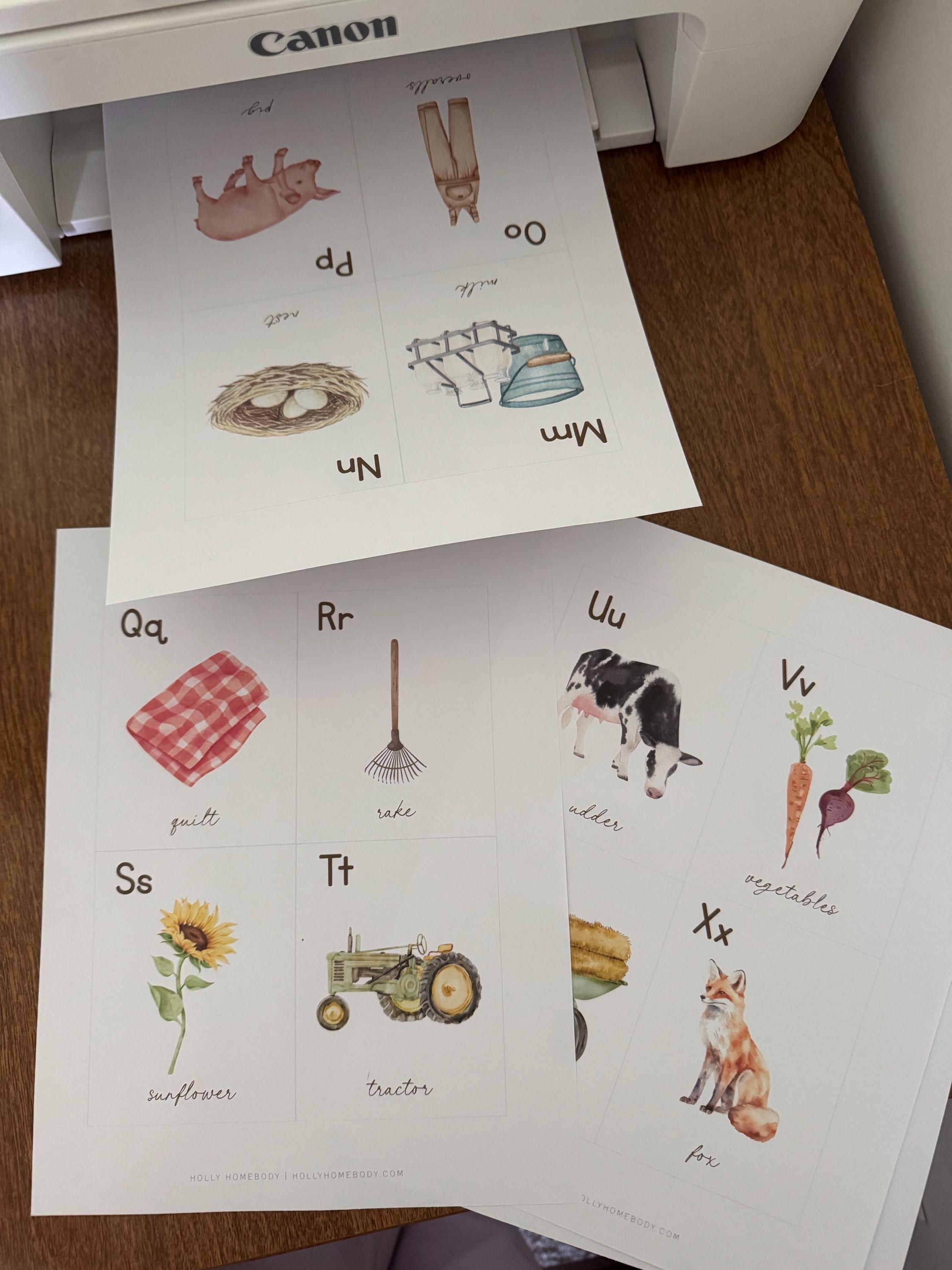 Farm Animal ABC Flash Cards – Printable Learning Activity (PDF) - Etsy