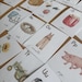 Farm Animal ABC Flash Cards – Printable Learning Activity (PDF) - Etsy