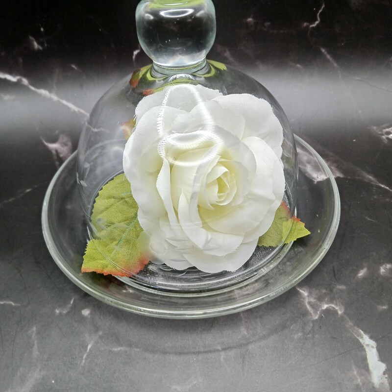 Crystal Cheese Dome - Etsy