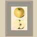 Antique Botanical Print Green Apple | Green Yellow Brown Beige ...
