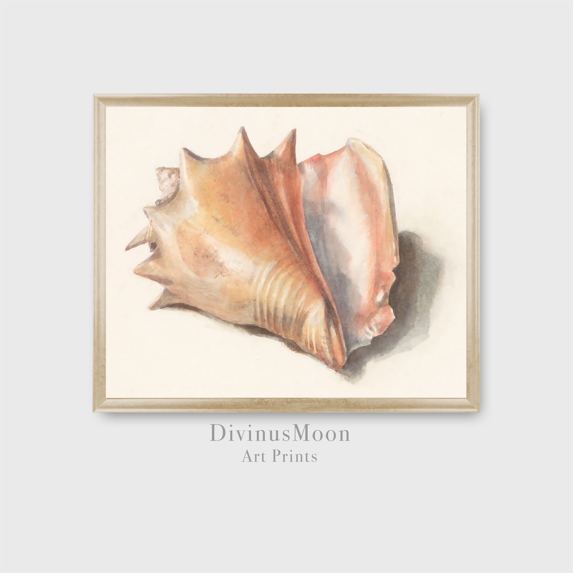 Conch Shell Print Coastal Beach House Decor Kitchen Dining Bathroom ...