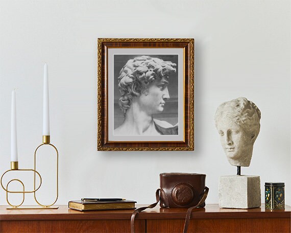 Statue of David by Michelangelo, Florence Italy, Antique Photo ...
