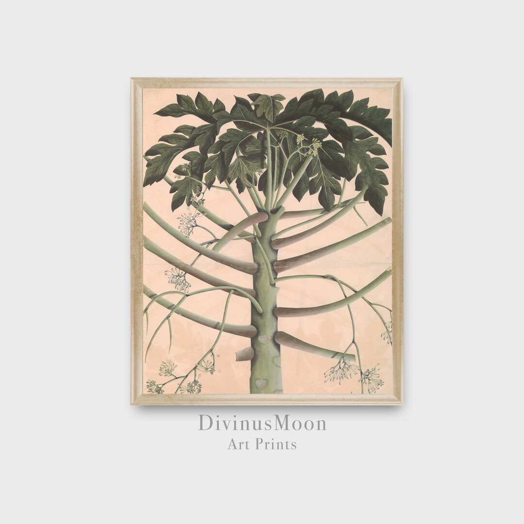 Papaya Tree Botanical Print | Vintage Classic Wall Art | Green Beige ...