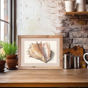 Conch Shell Print | Coastal Beach House Decor | Kitchen Dining Bathroom ...