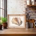 Conch Shell Print Coastal Beach House Decor Kitchen Dining Bathroom ...