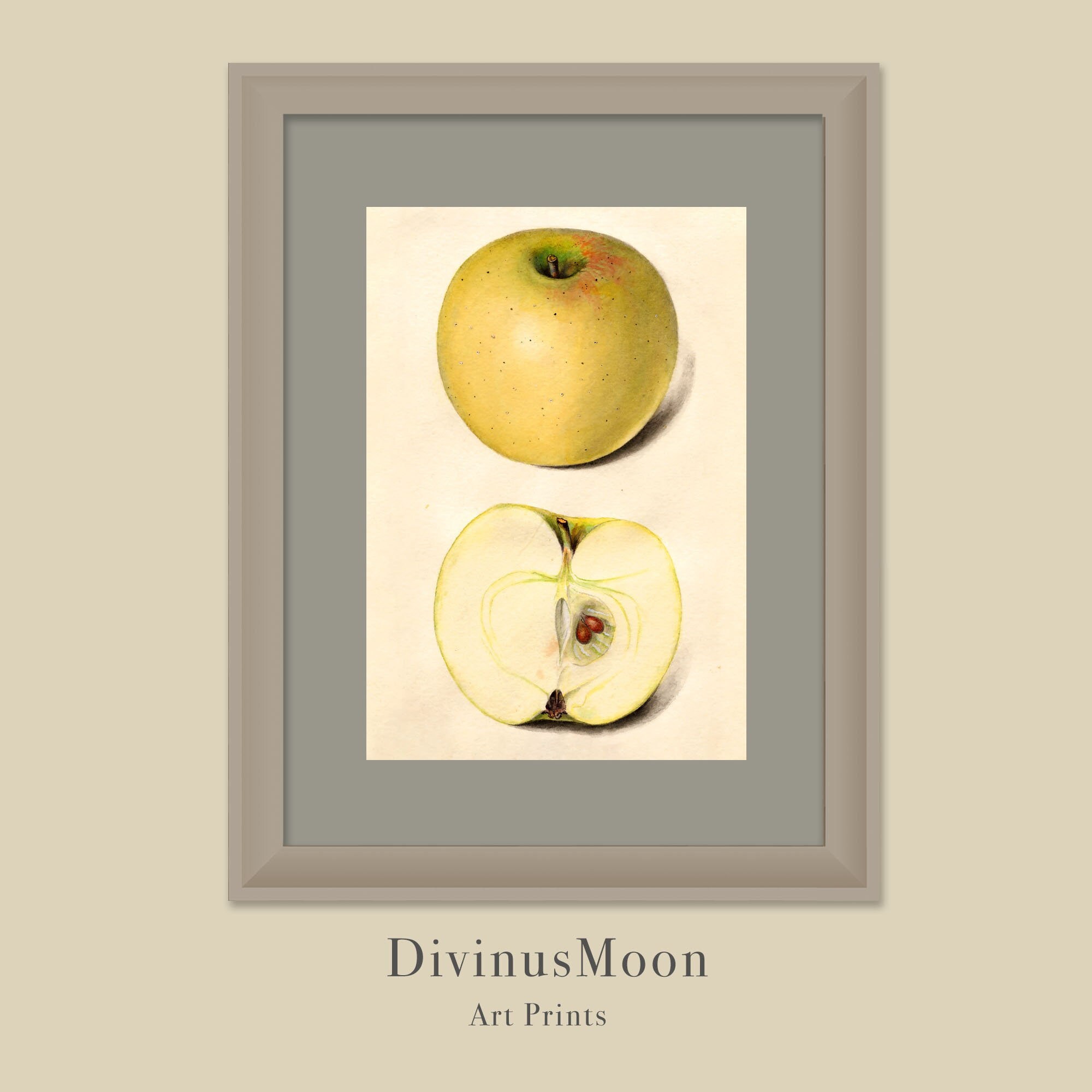 Antique Botanical Print Green Apple | Green Yellow Brown Beige ...