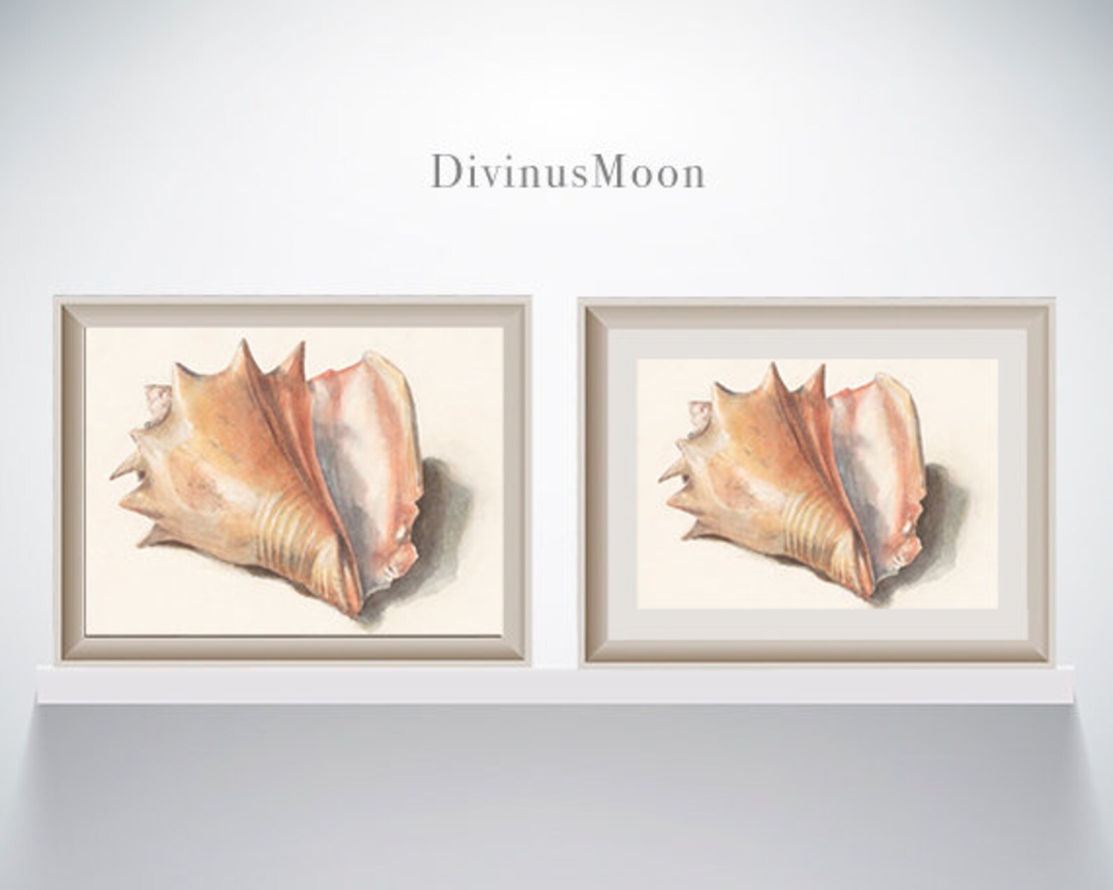Conch Shell Print | Coastal Beach House Decor | Kitchen Dining Bathroom ...