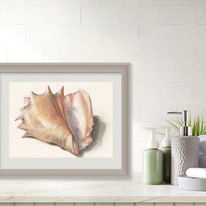 Conch Shell Print | Coastal Beach House Decor | Kitchen Dining Bathroom ...