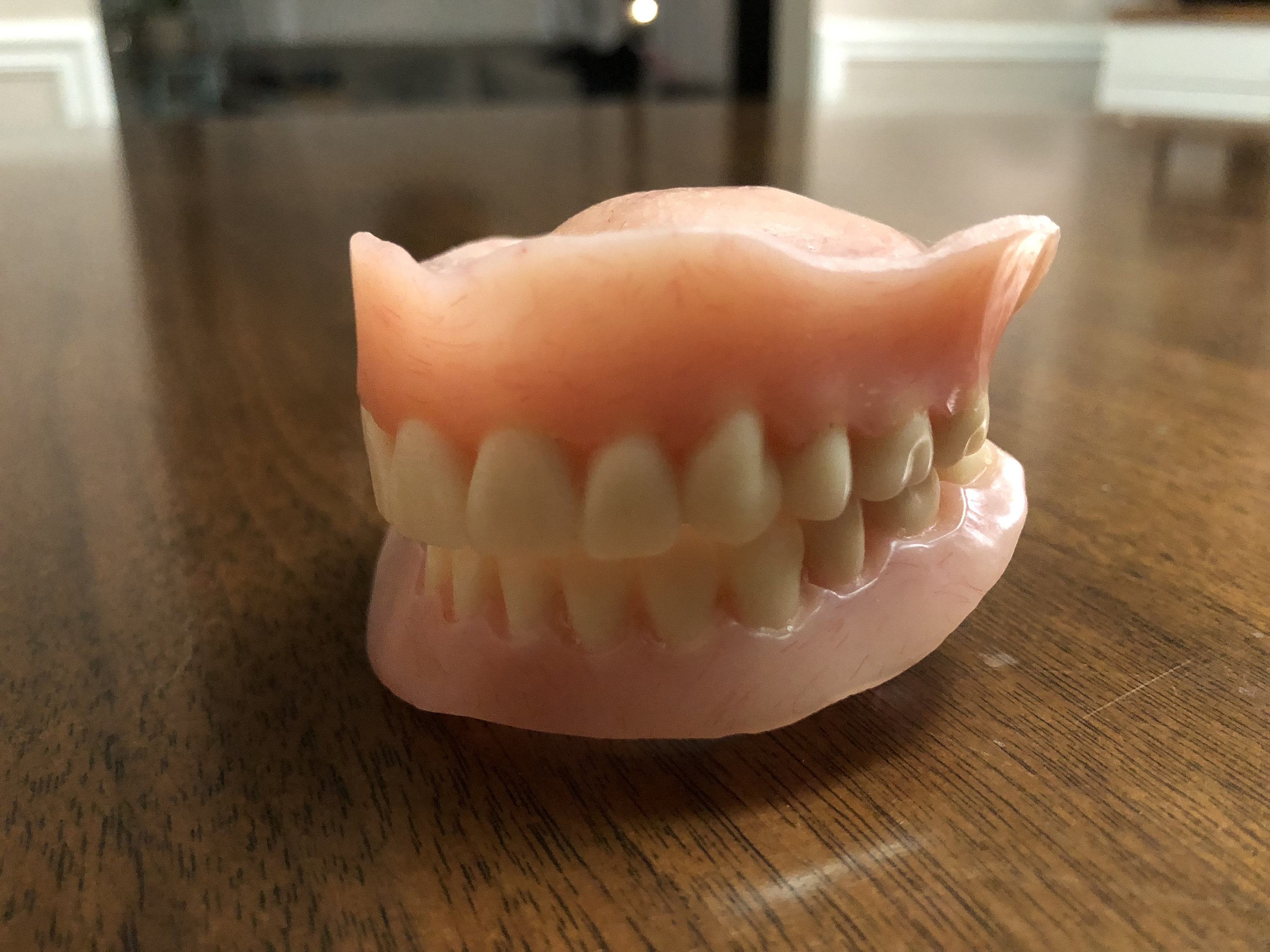 Halloween Oddities Macabre Crafting Set of False Teeth Dentures - Etsy