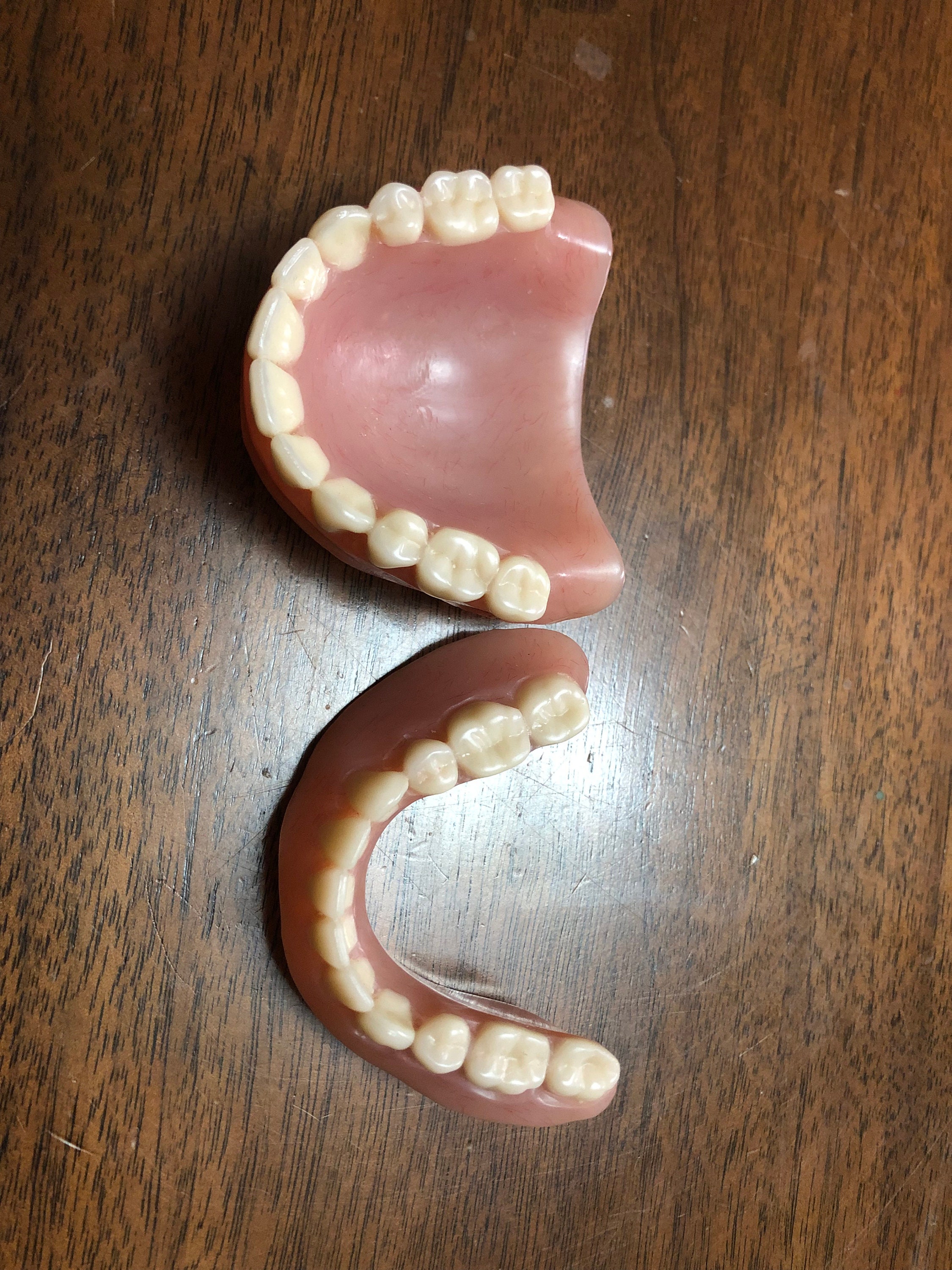 Halloween Oddities Macabre Crafting Set of False Teeth Dentures - Etsy