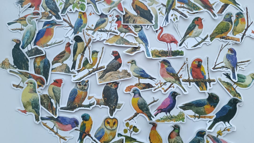 Aviary Sticker Set Nature Inspired Bird Ephemera Songbird & Forest Bird ...