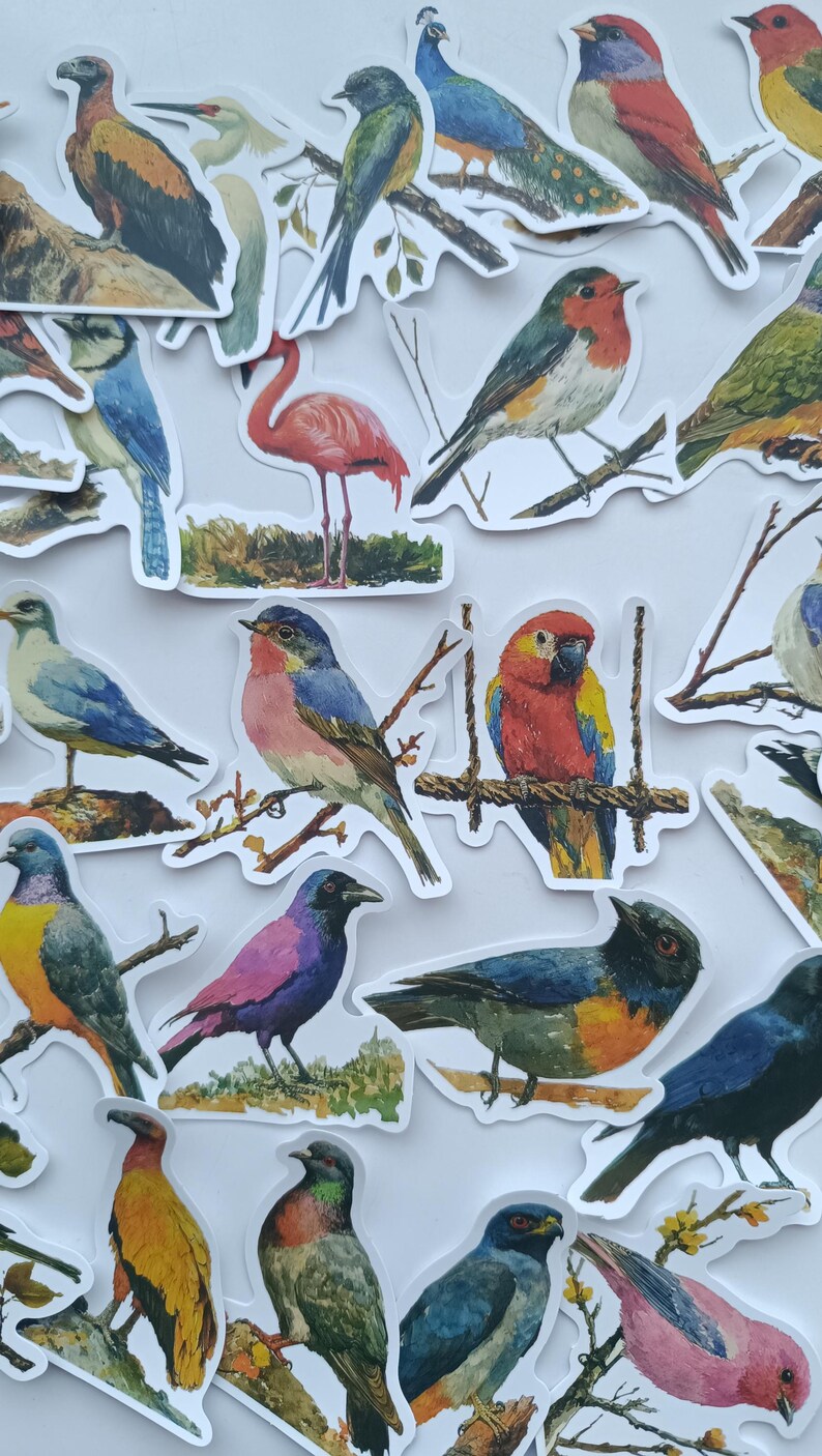 Aviary Sticker Set Nature Inspired Bird Ephemera Songbird & Forest Bird ...