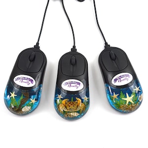 Ocean Aqua Mouse for Computer - USB, Y2K, Frutiger Aero, Nostalgia Novelty (wired), Beach Gift ...