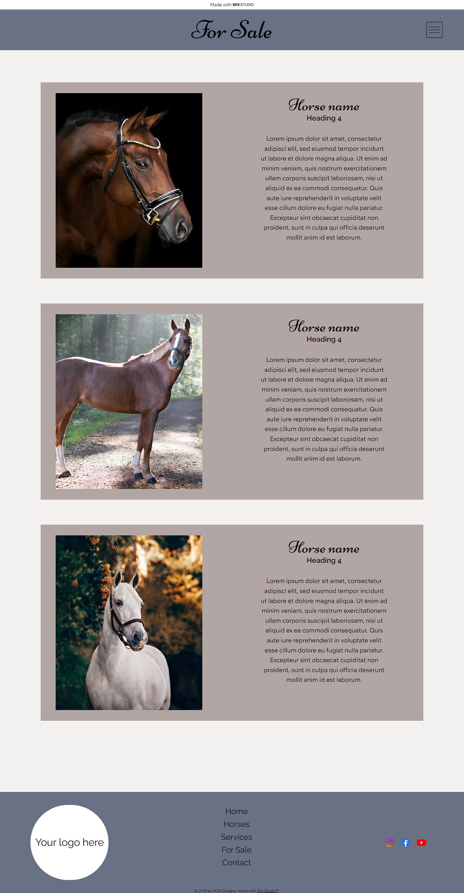 Wix Website Template, Modern Design, for Equestrians, Equine Businesses ...