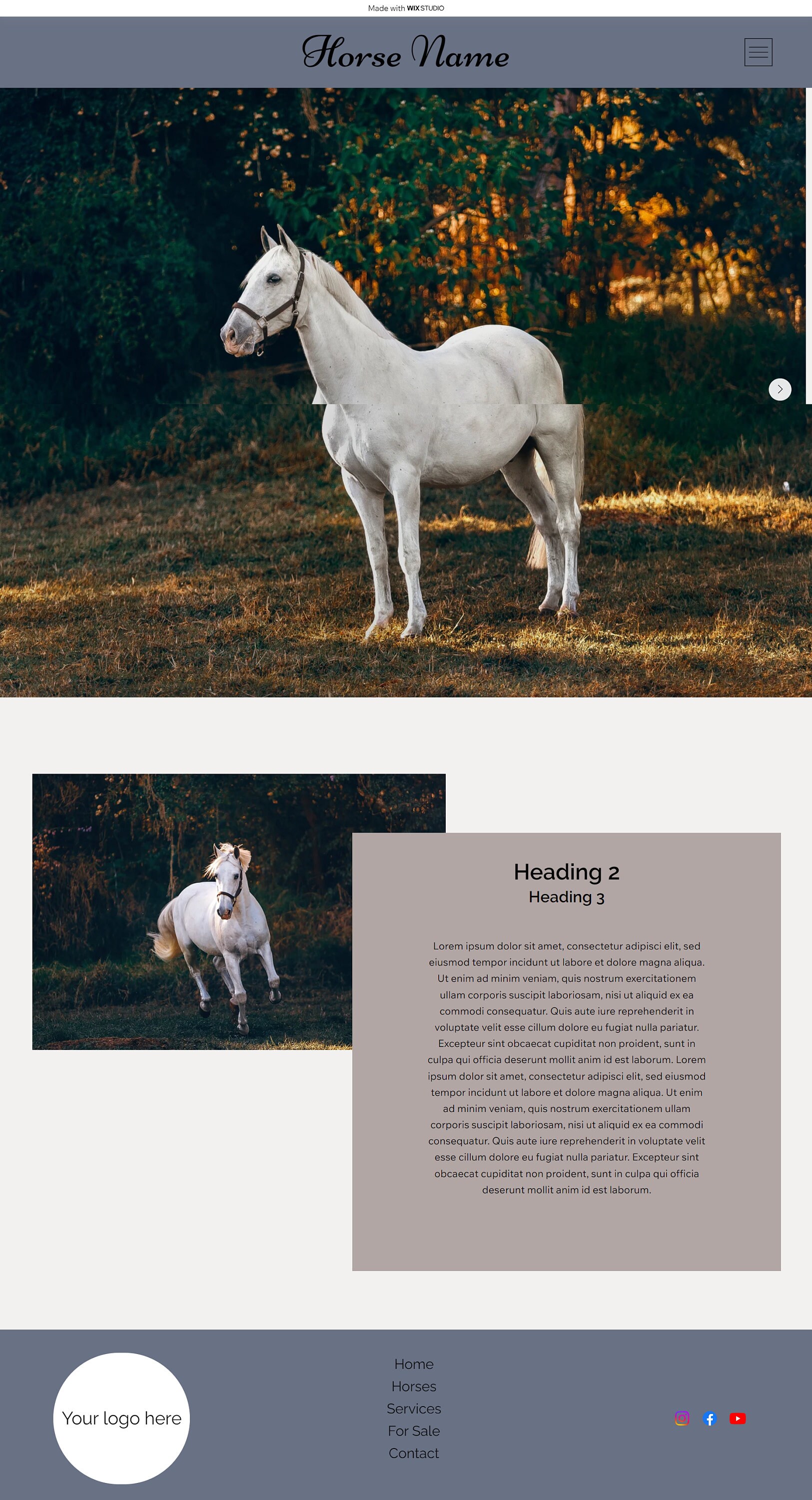 Wix Website Template, Modern Design, for Equestrians, Equine Businesses ...