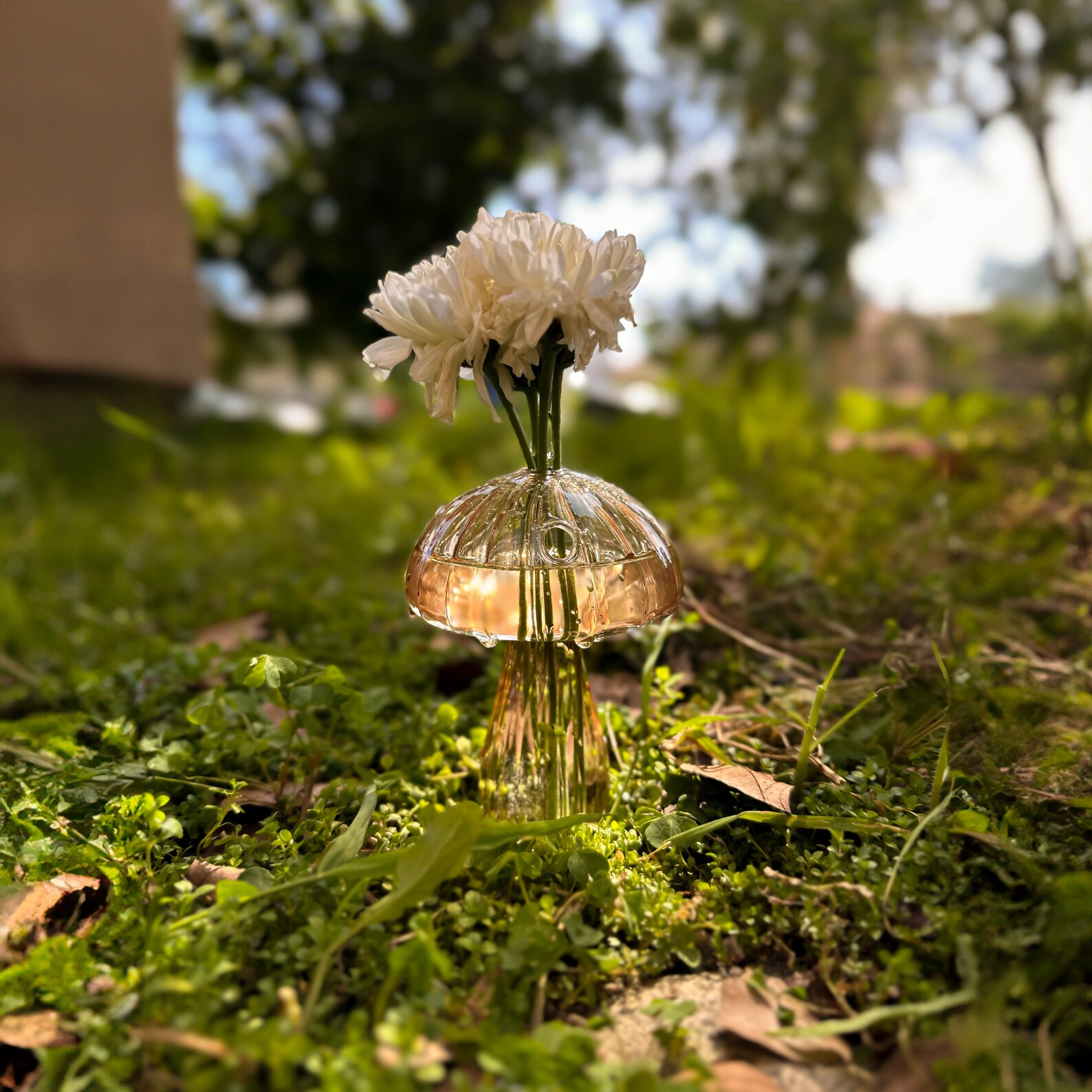 Glass Mushroom Bud Vase, Floral Home Decor, Mushroom Decor, Creative ...