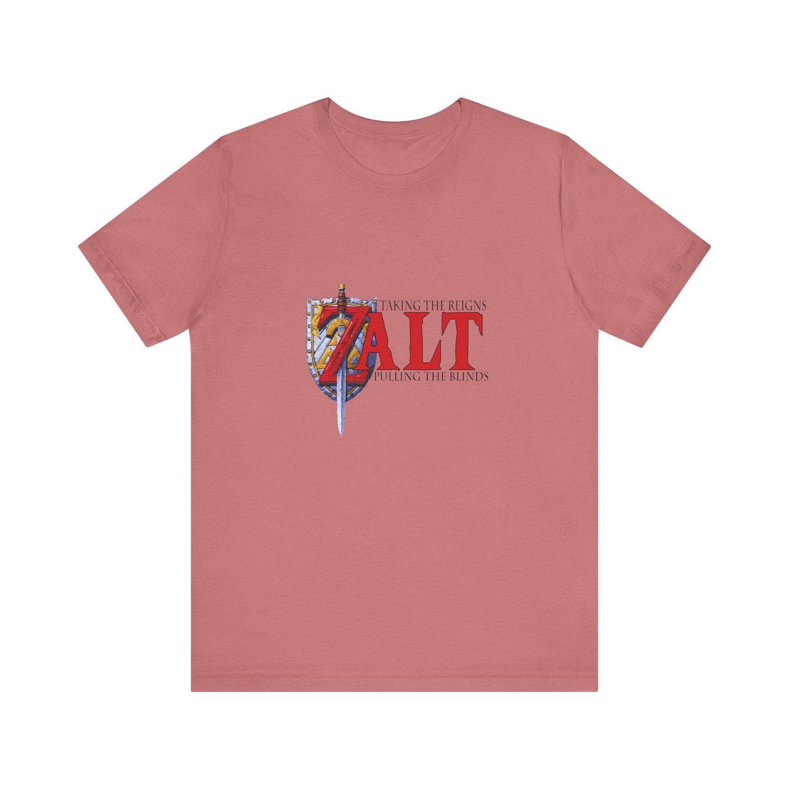 Goose "zalt" Salt Band T-shirt | Video Game Adventure Design | Jam Band ...