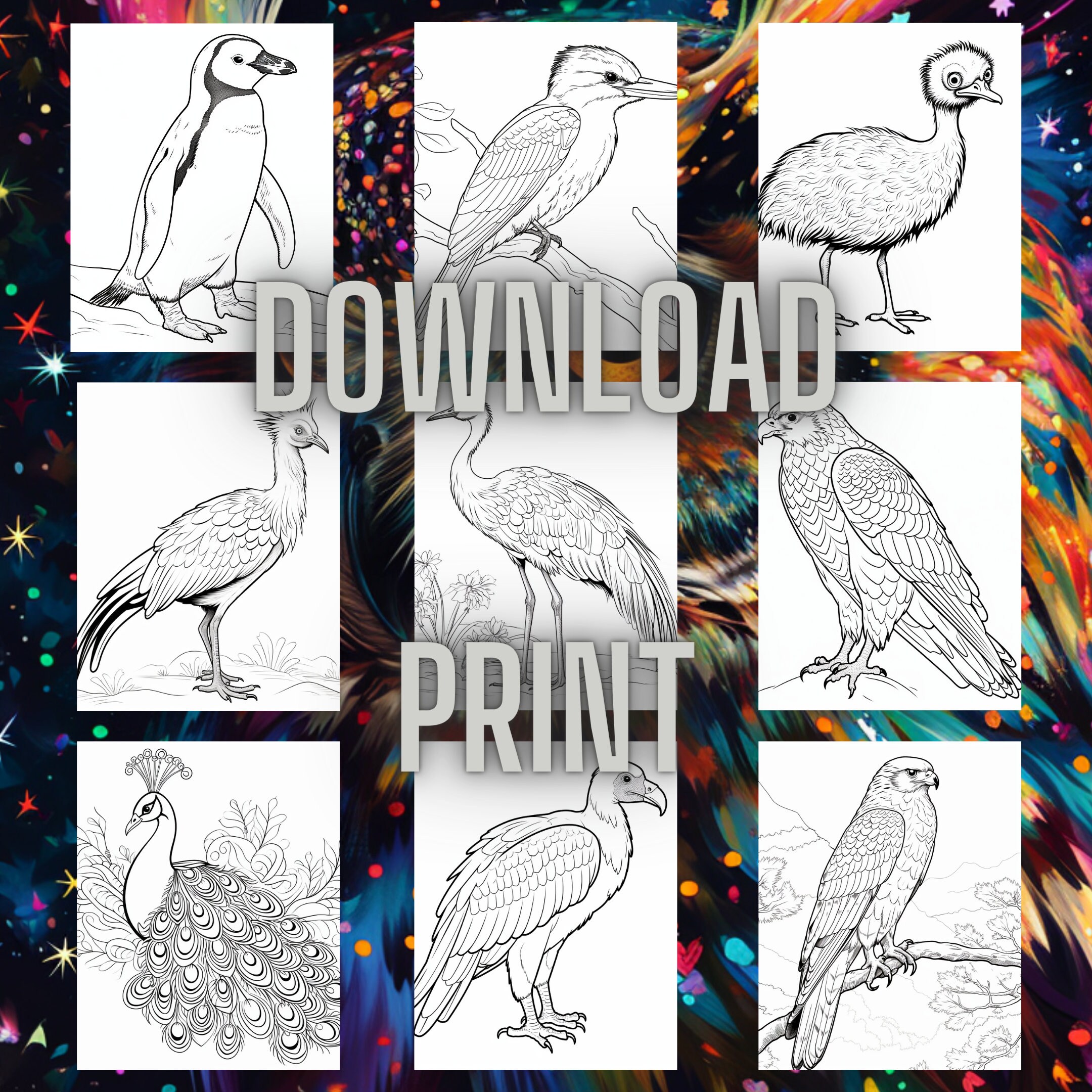 Cute Birds of Africa Coloring Pages for Kid's, Digital Download ...
