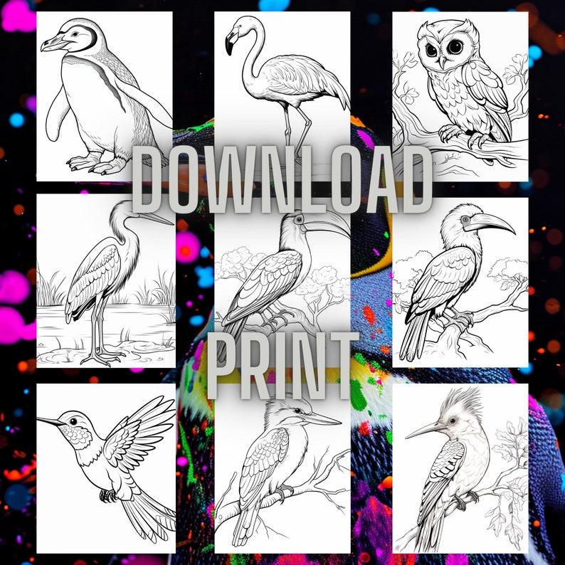 Cute Birds of Africa Coloring Pages for Kid's, Digital Download ...