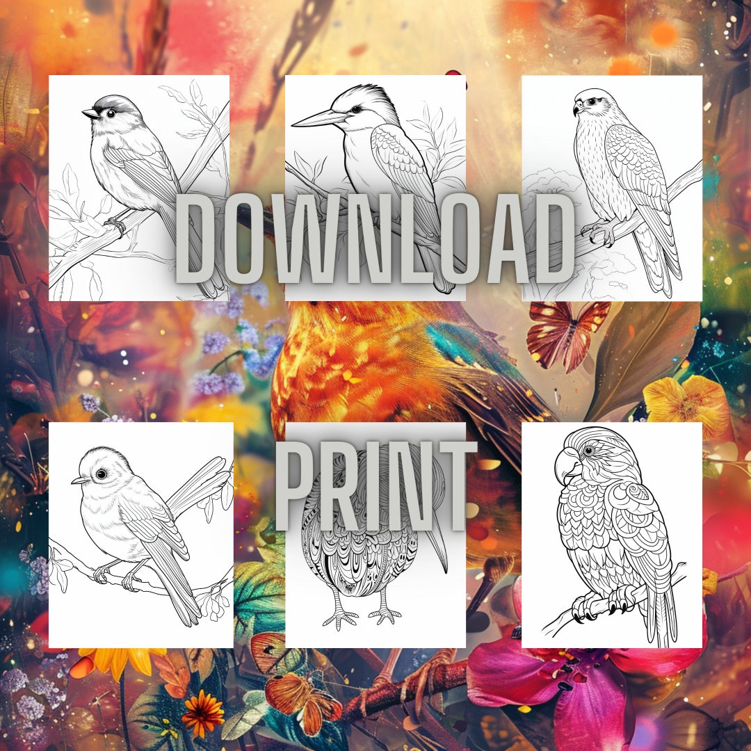Cute NZ Birds Coloring Pages for Kid's, Digital Download Coloring Page ...